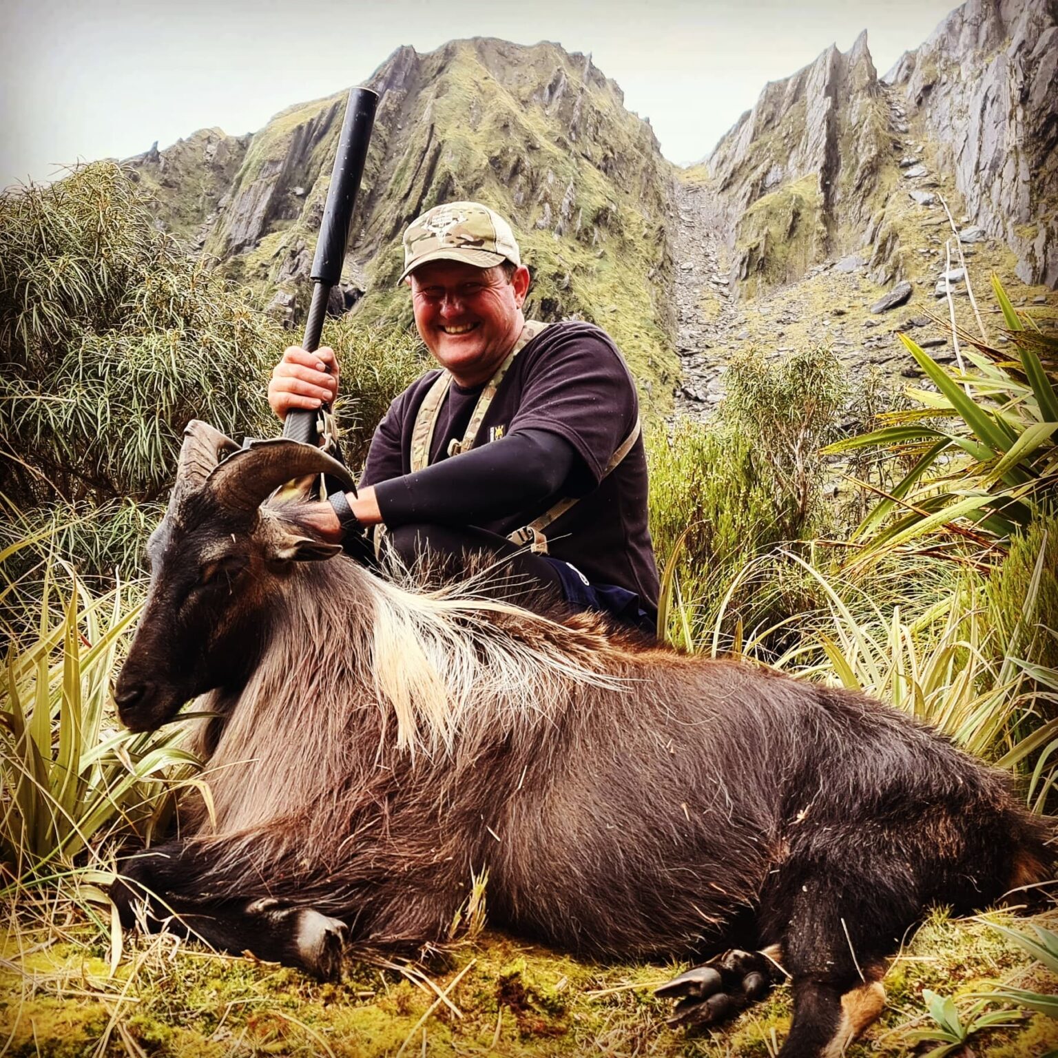 New Zealand Tahr: Epic Hunting - Guaranteed Opportunities